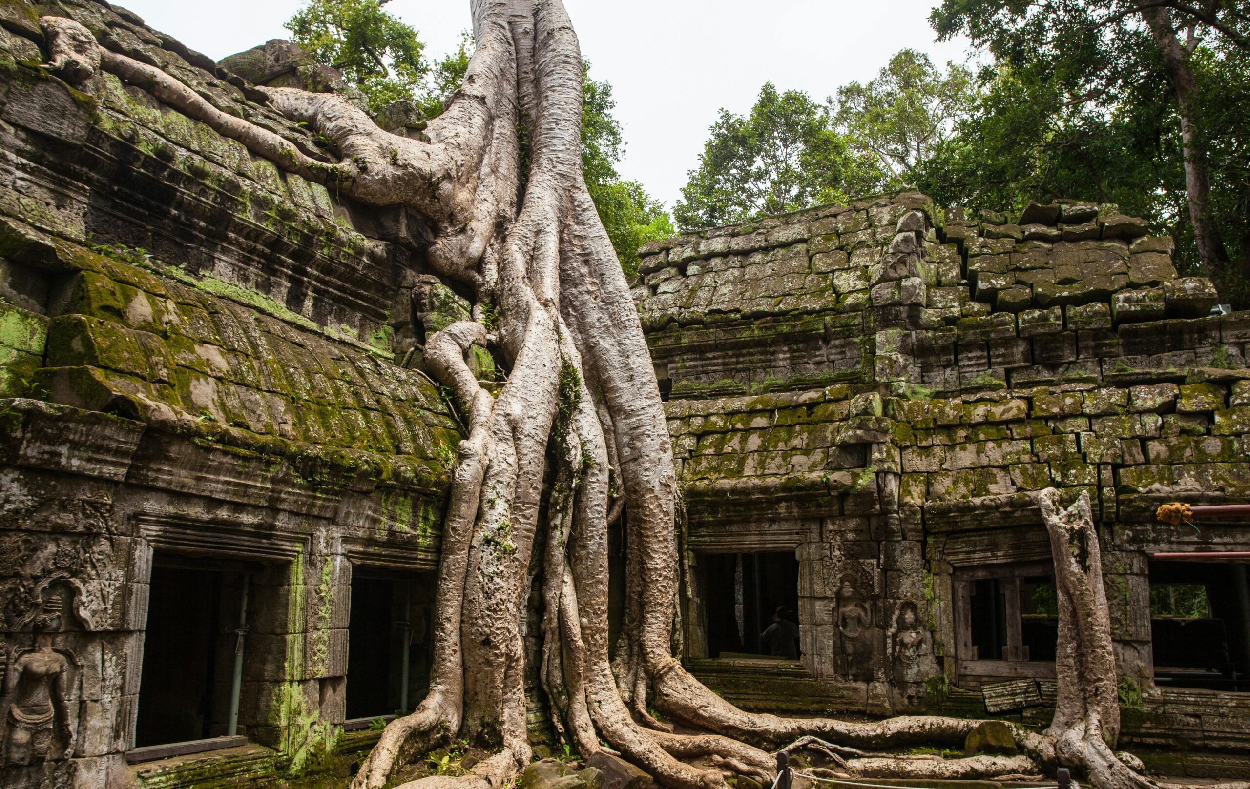 5 Days Siem Reap – Phnom Penh Private Tour - Spectrum Interlinks
